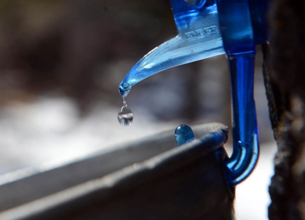 Maple Products - Ontario Maple